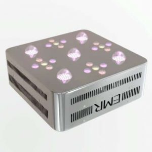 EMR-TEK FIREWAVE Review: Is This Red Light Right For You?